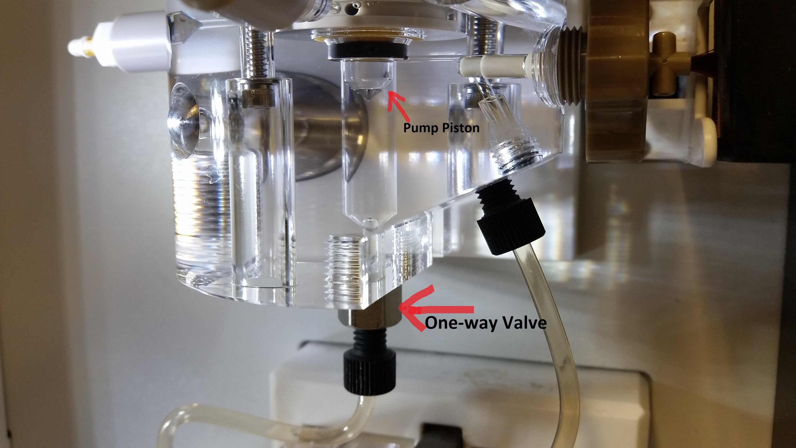 Capillary Leak Detected